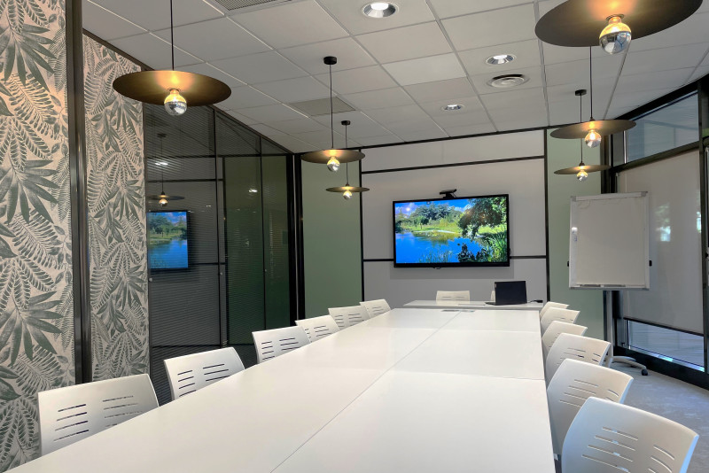 Salle de réunion / formation Oullins Salle de réunion Le Club - Oullins Lyon- Sud - 14 personnes ...