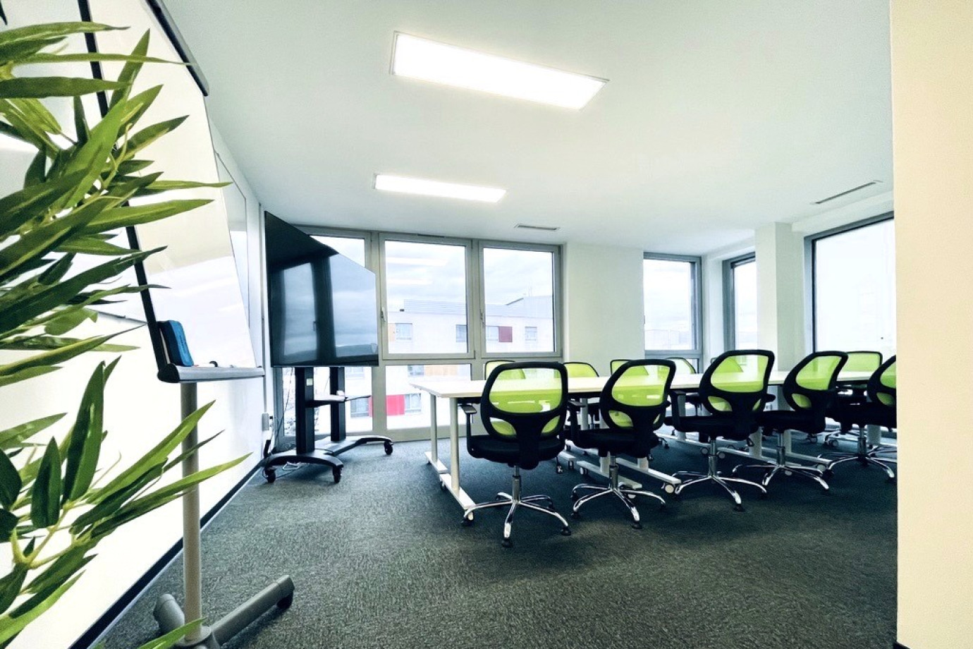 Séminaire / Journée d'étude Strasbourg Salle de réunion 12-14 pers ...